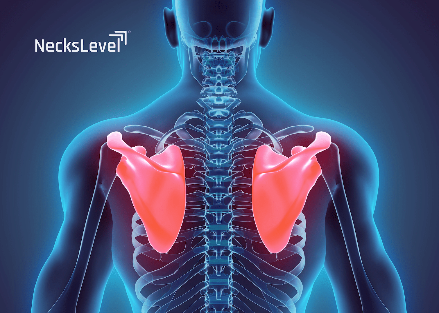 Shoulder Blades & Neck Pain | NecksLevel Rehab